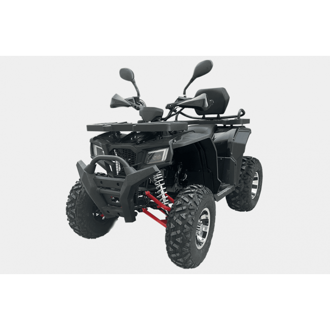 Квадроцикл FORTE HUNTER 250 CC купить в магазине electroshop.md с доставкой